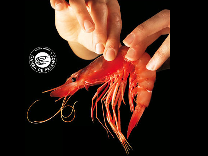 16 restaurants serveixen des d'avui el Menú de la Gamba.